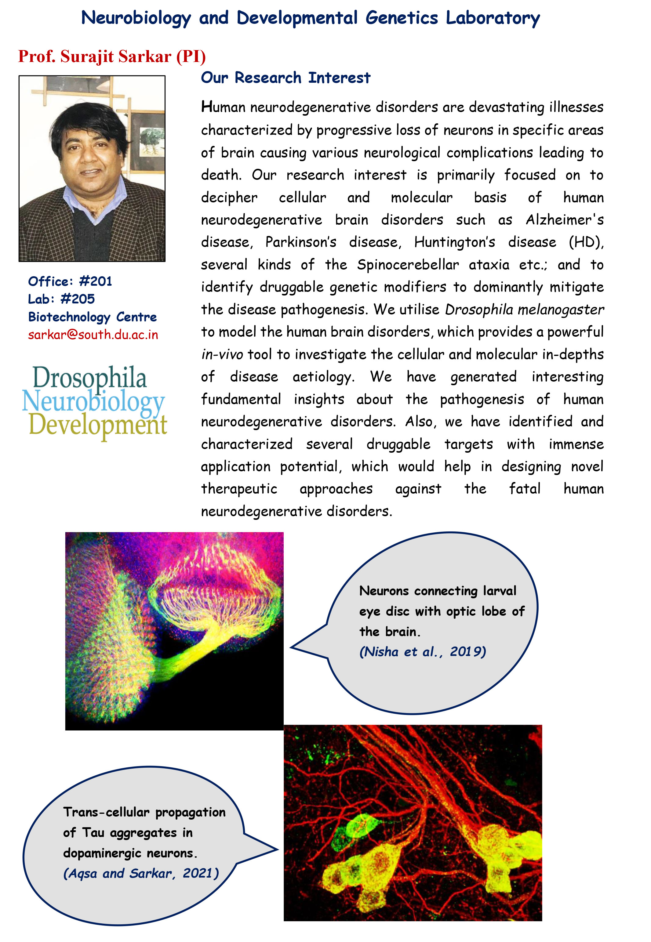 Department of Genetics – Neurobiology and Developmental Genetics Group ...